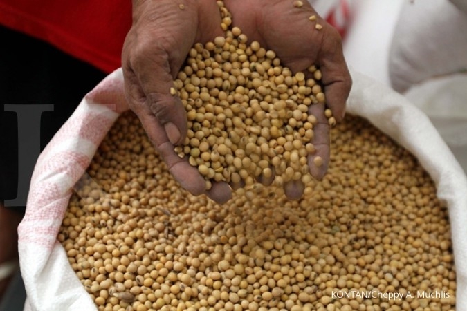 MURAHNYA HARGA KEDELAI IMPOR DI TENGAH LEMAHNYA NILAI TUKAR RUPIAH ...
