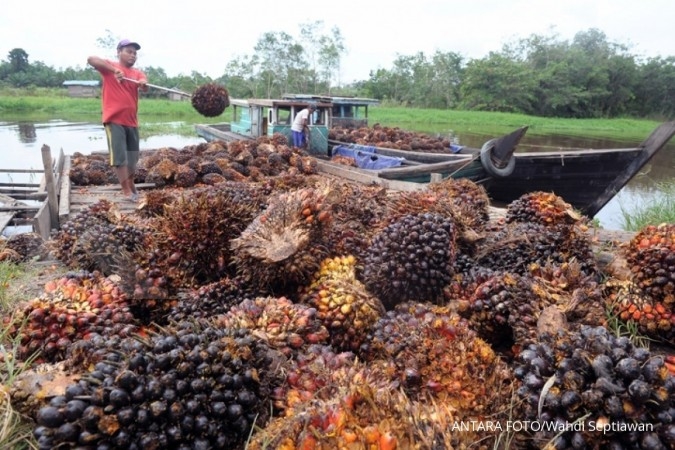 PUNGUTAN EKSPOR CPO Pengusaha Sawit Tetap Pede - APOLIN - Asosiasi Produsen Oleochemical Indonesia