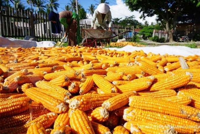 Produsen pati jagung, Tereos FKS bidik pertumbuhan 20% tahun ini