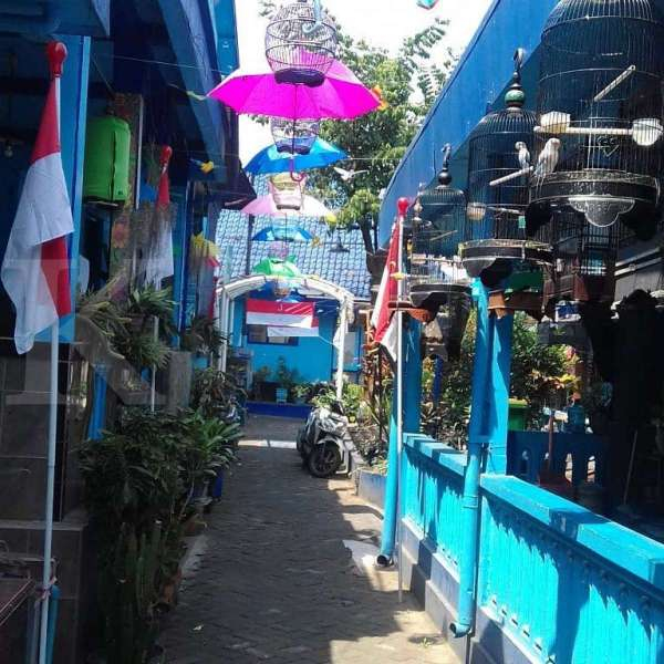 Kampung Biru Arema, tempat wisata tematik dengan nuansa biru